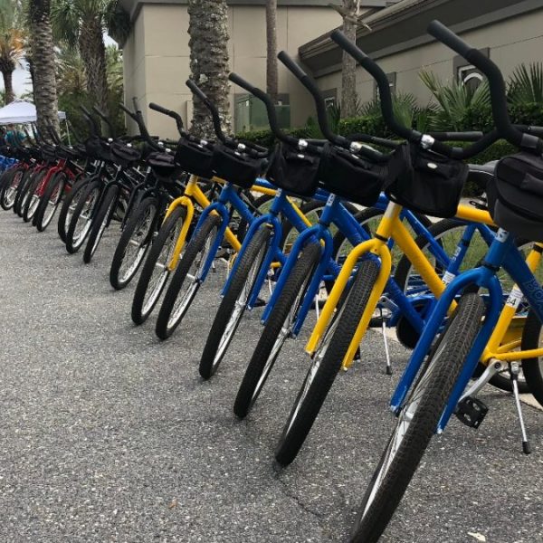 Bike Rentals Amelia Island • Riptide Watersports Tours & Rentals