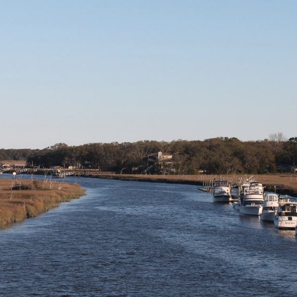 Tours of Egans Creek Amelia Island • Riptide Watersports Tours & Rentals