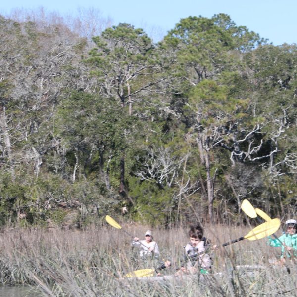 Tours of Simpson Creek Amelia Island • Riptide Watersports Tours & Rentals