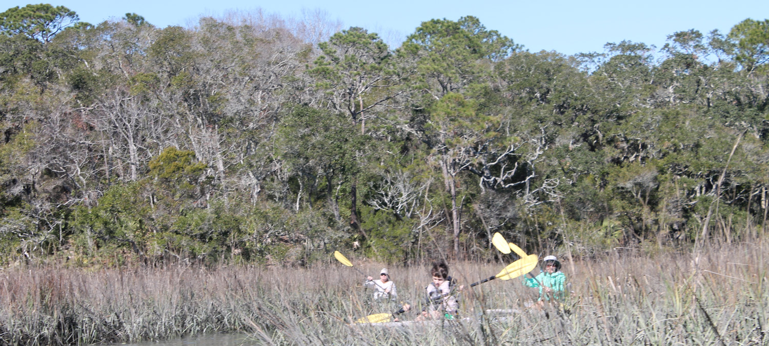 Tours of Simpson Creek Amelia Island • Riptide Watersports Tours & Rentals