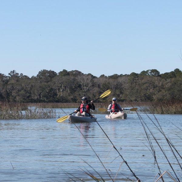 Tours of Simpson Creek Amelia Island • Riptide Watersports Tours & Rentals